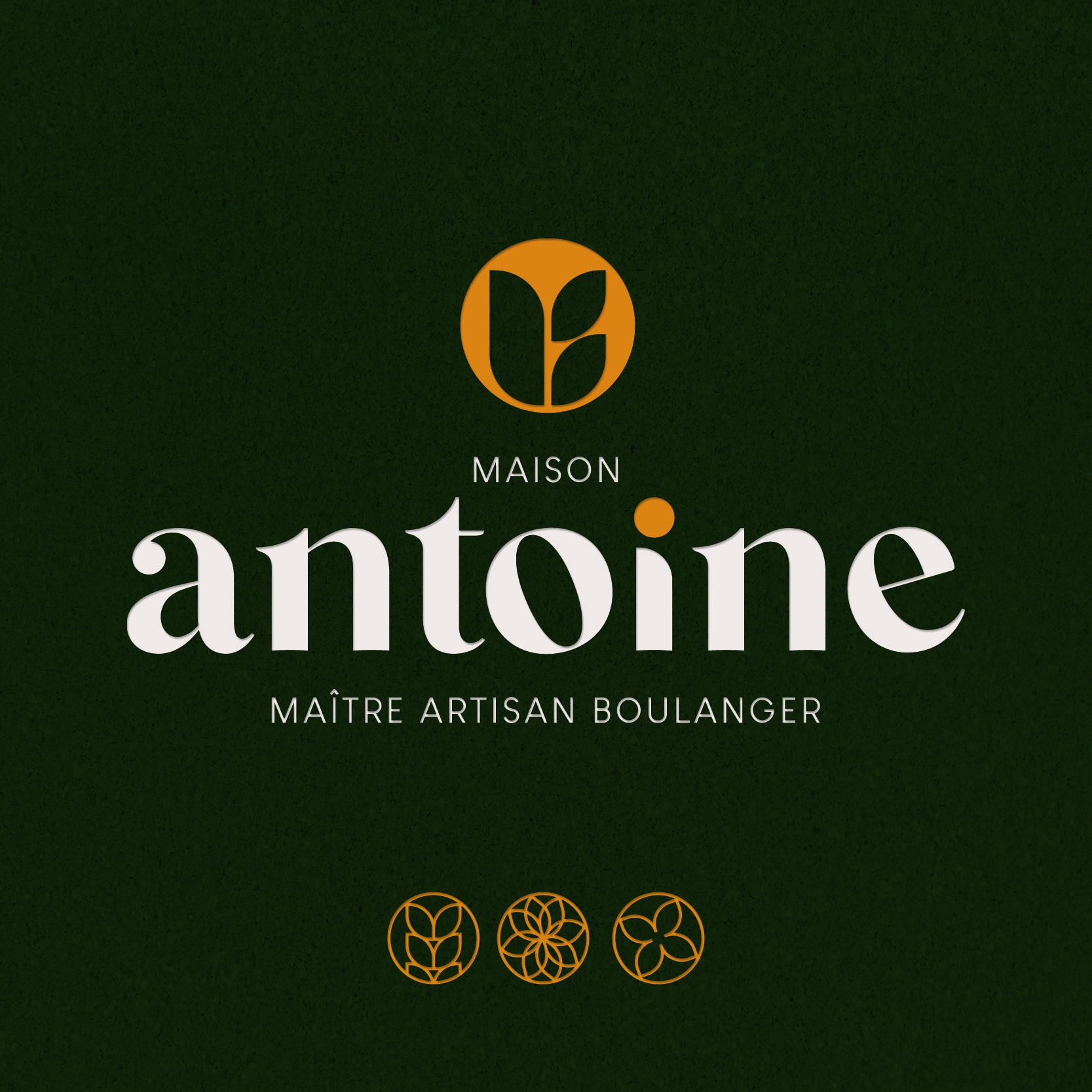 Maison Antoine - Studio La Fabrique